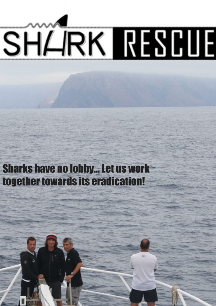 Shark Rescue movie seeks funds to stay afloat • Mares - Scuba Diving Blog