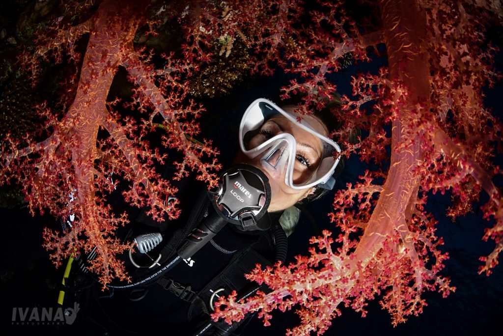 Corals are the perfect models • Mares - Scuba Diving Blog