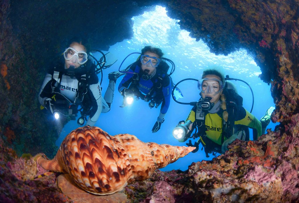 The Triton Snail • Mares - Scuba Diving Blog