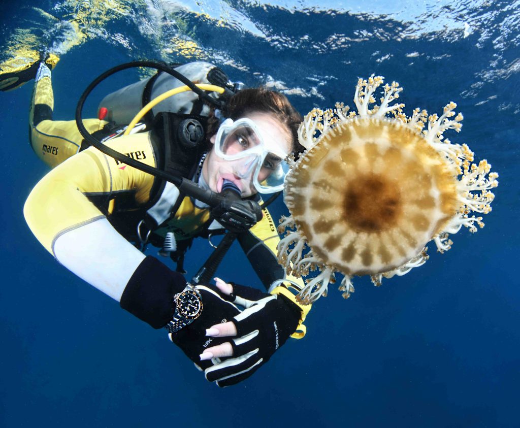 Looking at life from a Cassiopea’s perspective - Upside down • Mares ...