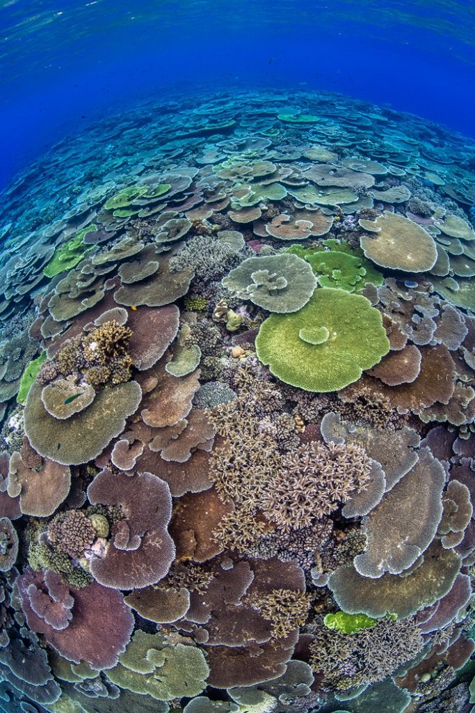 Travel to a Different World • Mares - Scuba Diving Blog