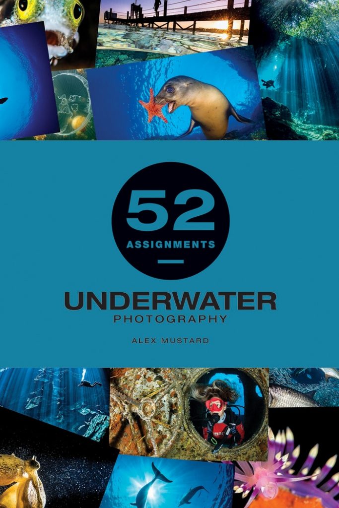 New Book: 52 Assignments Underwater Photography • Mares - Scuba Diving Blog